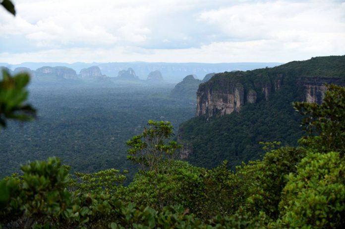 Chiribiquete National Park becomes Colombia's 9th UNESCO World Heritage ...